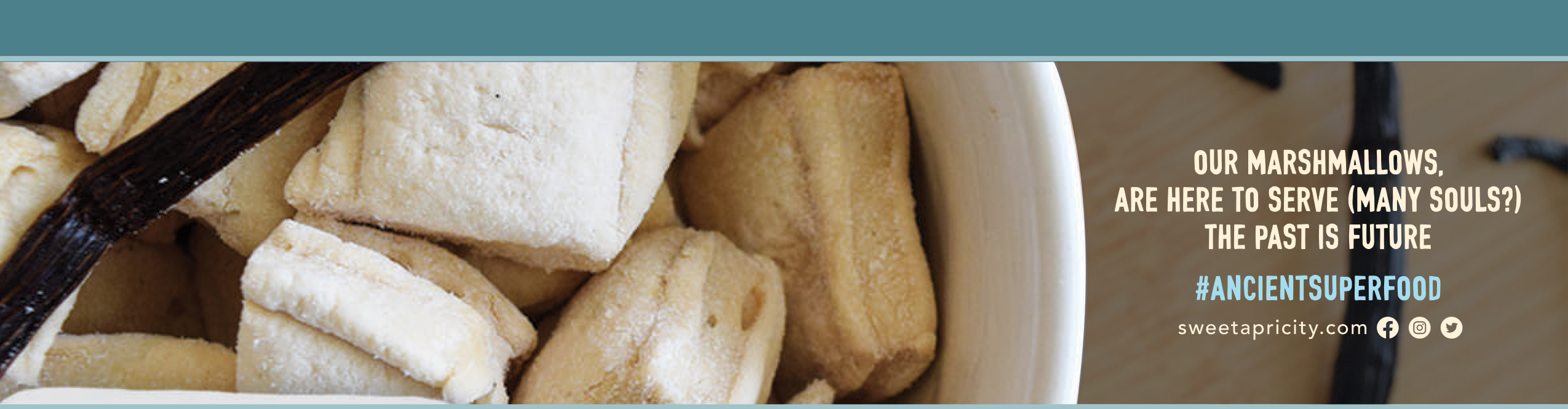 AIP & Paleo Friendly Snacks & Sweets | Sweet Apricity